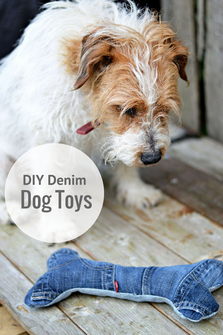 How To Make The Cutest Handmade Dog Toys Pillar Box Blue