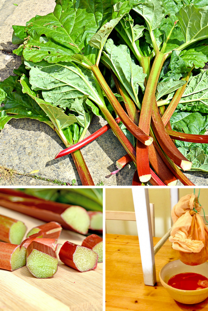 Homemade Rhubarb Cordial - Pillar Box Blue