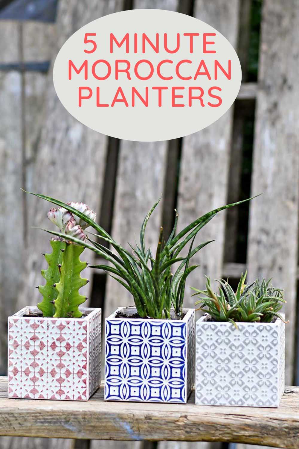 Make Beautiful Moroccan Planters In Under 10 Minutes - Pillar Box Blue