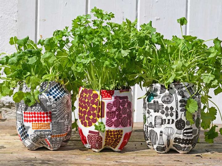 Bottle Plants Garden Project Natural And Timeless Garden In Breda