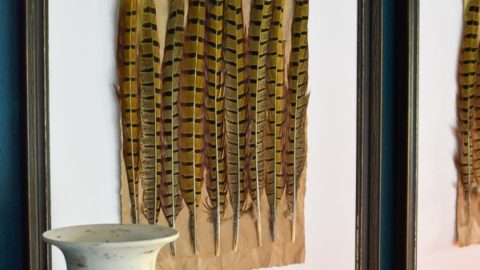 The Best Feather Crafts And DIYs For Your Home - Pillar Box Blue