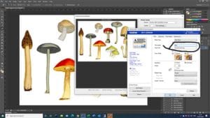 How To Print On Fabric At Home: Four Easy Ways - Pillar Box Blue