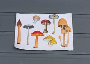 DIY Cute Fabric Mushroom Display With Free Printables - Pillar Box Blue