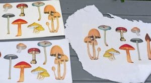 How To Print On Fabric At Home: Four Easy Ways - Pillar Box Blue