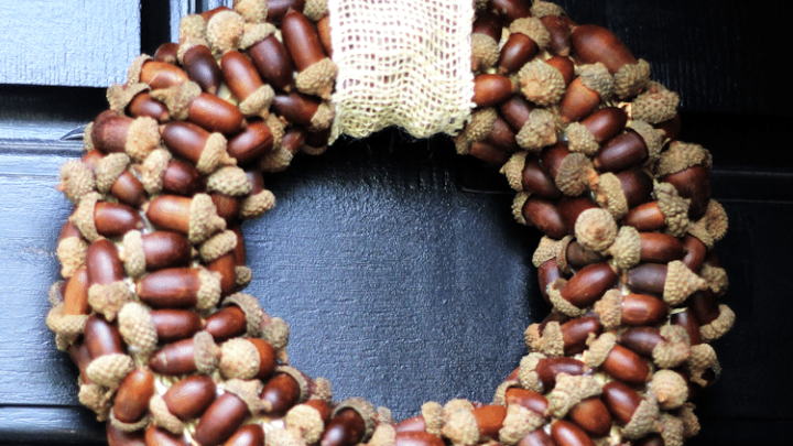 The Best Acorn Wreaths, Garlands, and Crafts to Make - Pillar Box Blue
