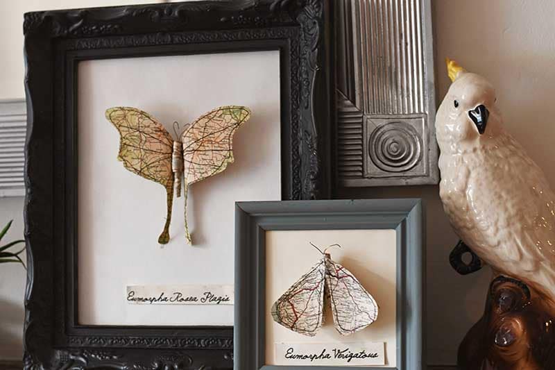 How To Make Map Paper Moths Art - Fun Faux Taxidermy - Pillar Box Blue