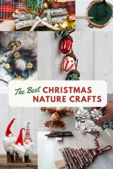 The Best Christmas Nature Crafts and Decorations - Pillar Box Blue