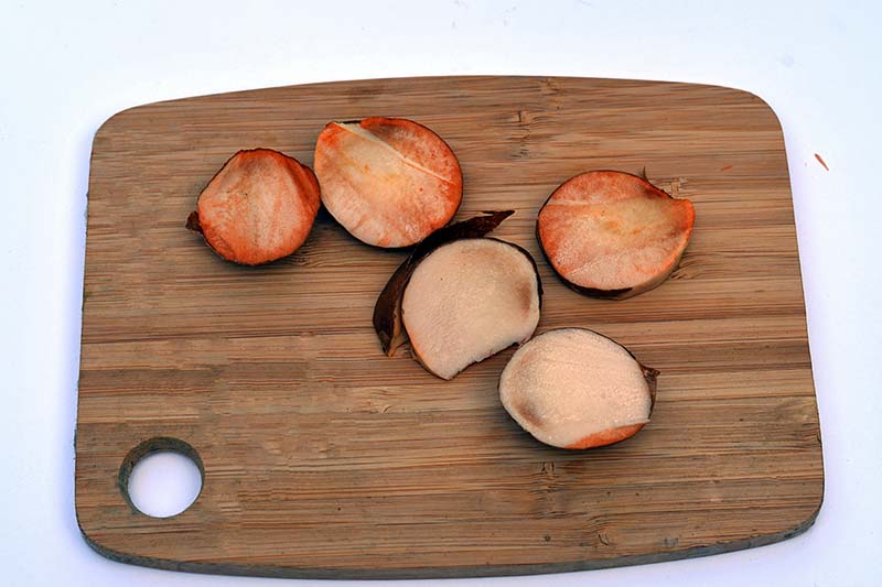 Avocado Pit Crafts - DIY Buttons and Jewelry - Pillar Box Blue