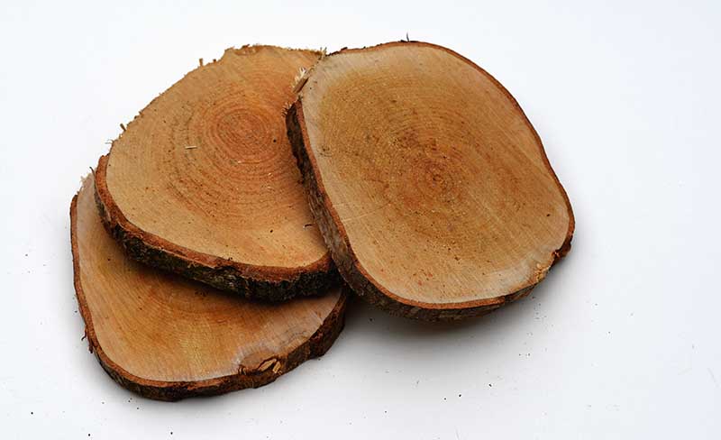 43 Adorable Wood Slice Ornament Ideas You Will Want On Your Tree ...