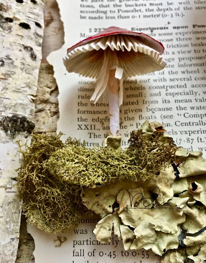 Mushrooms Galore: 35 Whimsical and Wonderful Craft Ideas - Pillar Box Blue