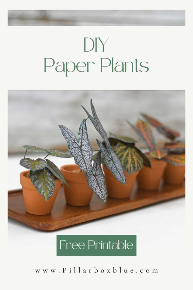 DIY Paper Plants: Mini Tropical House Plants with Free Printables ...
