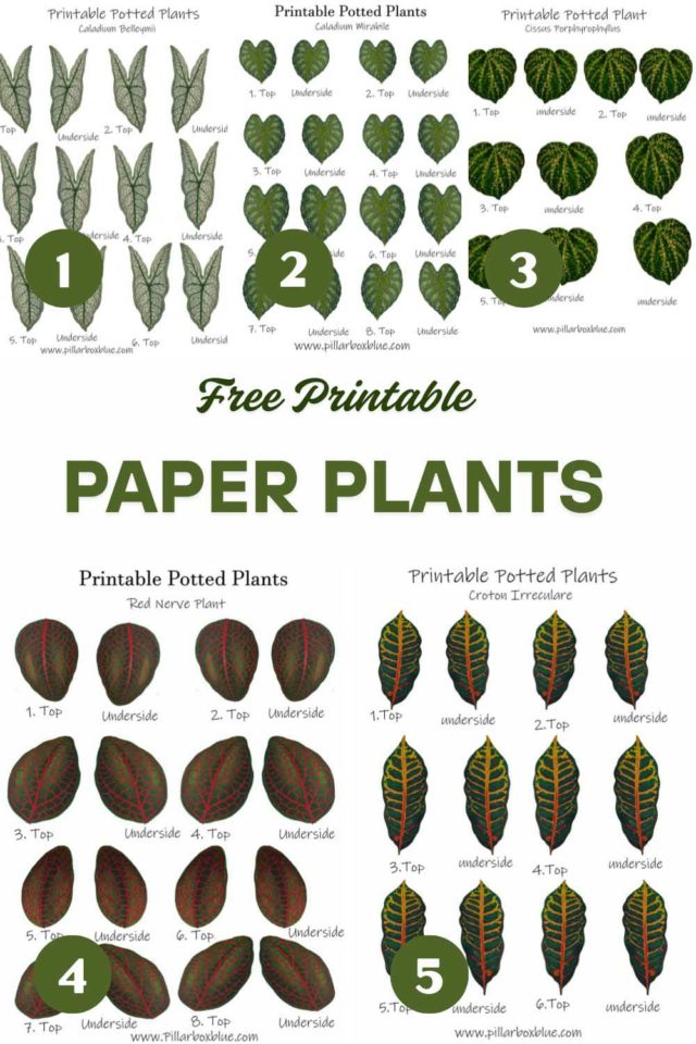 DIY Paper Plants: Mini Tropical House Plants with Free Printables ...