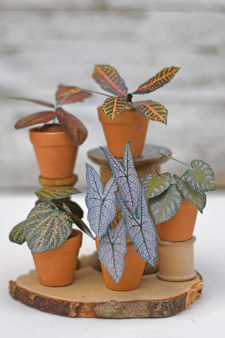 DIY Paper Plants: Mini Tropical House Plants with Free Printables ...