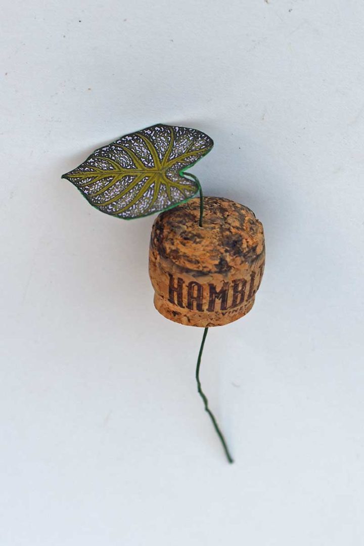 DIY Paper Plants: Mini Tropical House Plants with Free Printables ...