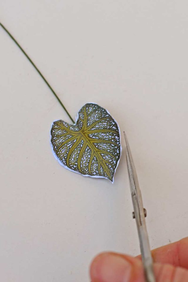 DIY Paper Plants: Mini Tropical House Plants with Free Printables ...