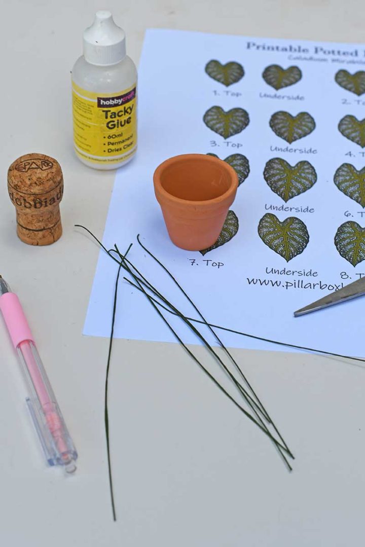 DIY Paper Plants: Mini Tropical House Plants with Free Printables ...