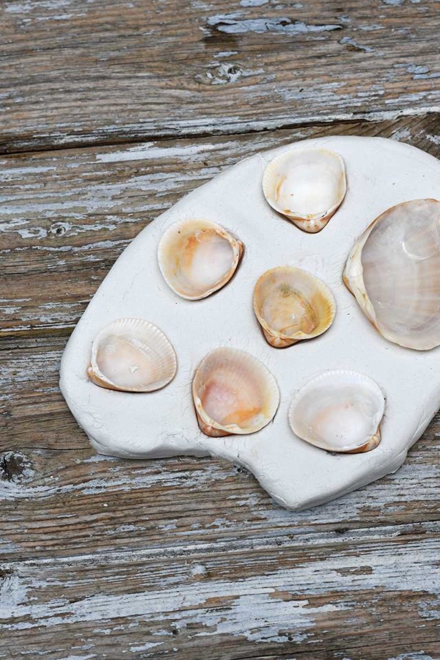 Seashell Craft Idea: Air Dry Clay Paint Palette - Pillar Box Blue