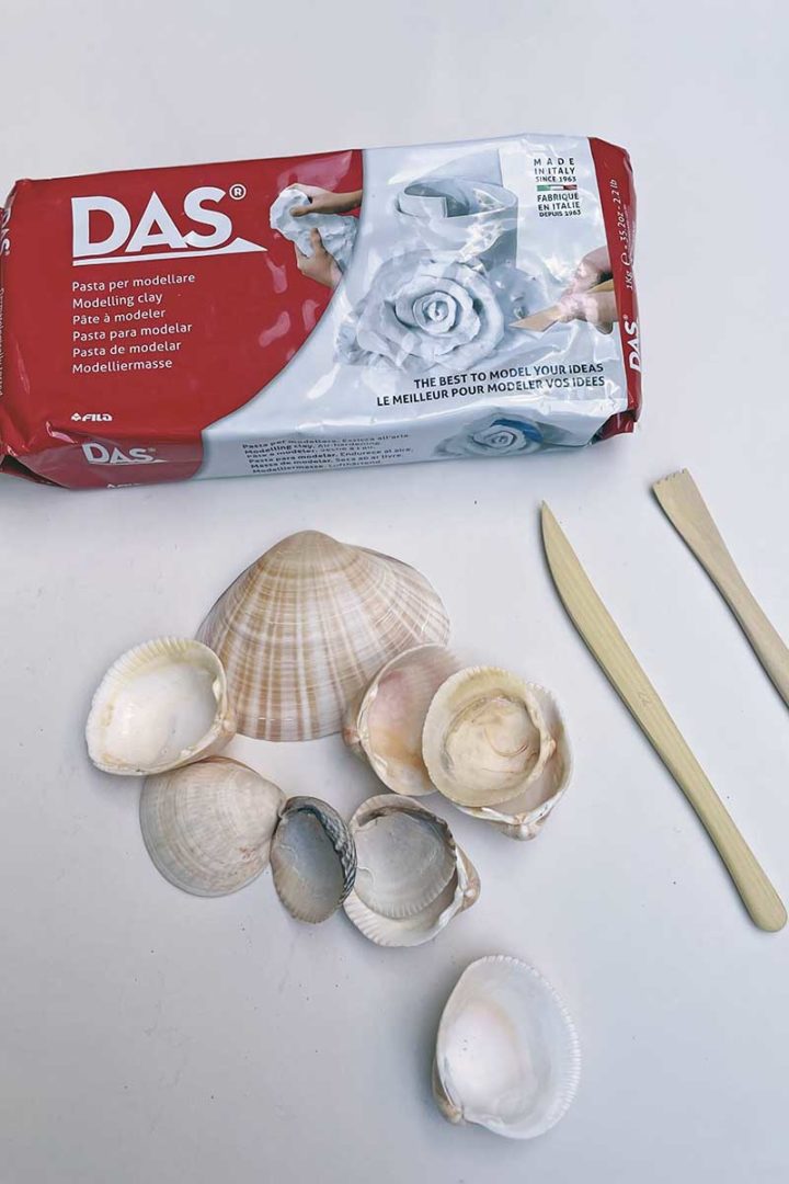 Seashell Craft Idea: Air Dry Clay Paint Palette - Pillar Box Blue