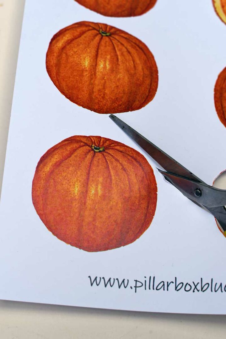 Free Printable Paper Fruit Ornaments You’ll Love - Pillar Box Blue